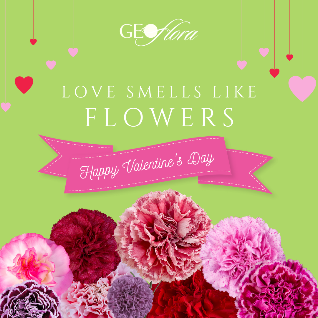 Geoflora | Colombian growers and exporters of cut flowers