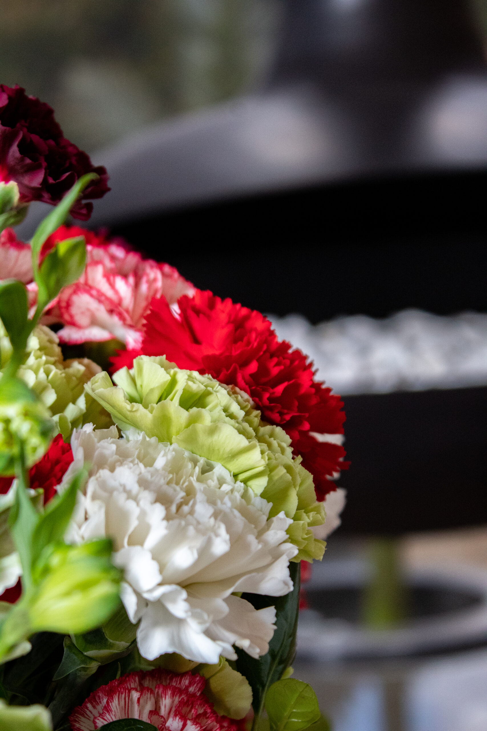 Christmas blooms with flowers | Geoflora